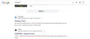 在国内怎么使用Google服务？有哪些方法? – 明点跨境OSDWAN